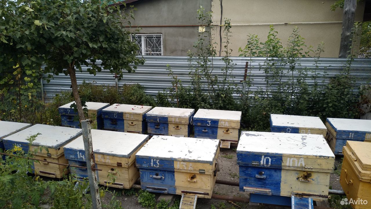 Ульи(20рамочные) лежаки с пчелами