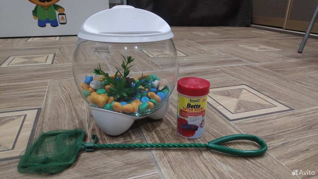 Б/У аквариум-шар для петушков