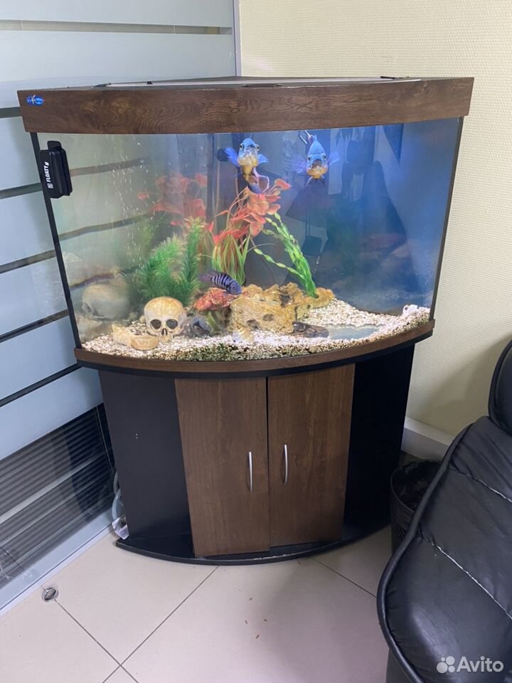 Аквариум Биодизайн Диарама 200