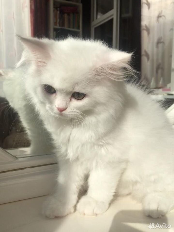 Сладкий мальчик