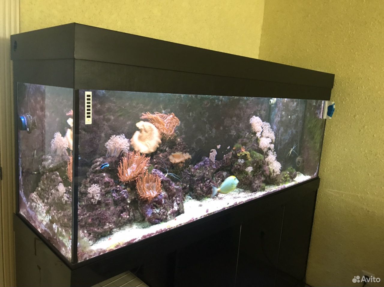 Морской аквариум