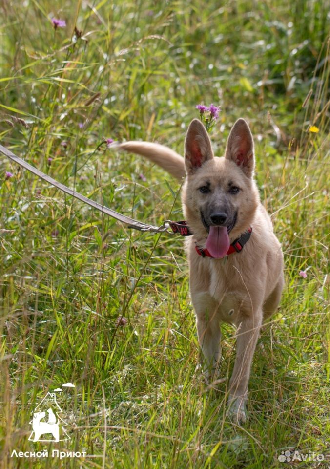 Очаровашка Феня ждёт вас в гости для знакомства