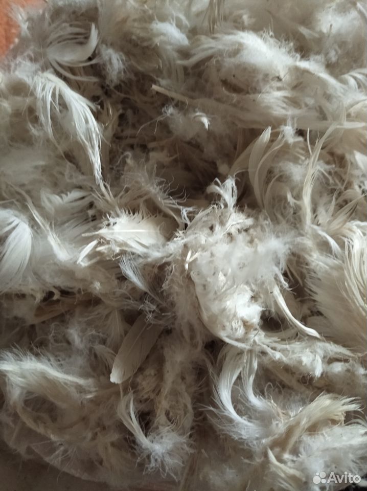 Утиный пух- перо
