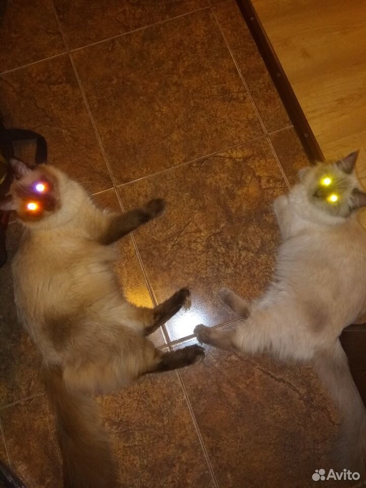 Невские маскарадные