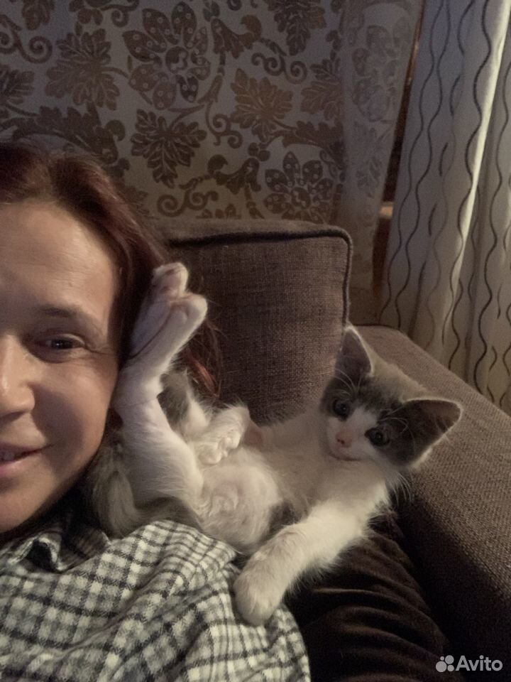 Котенок