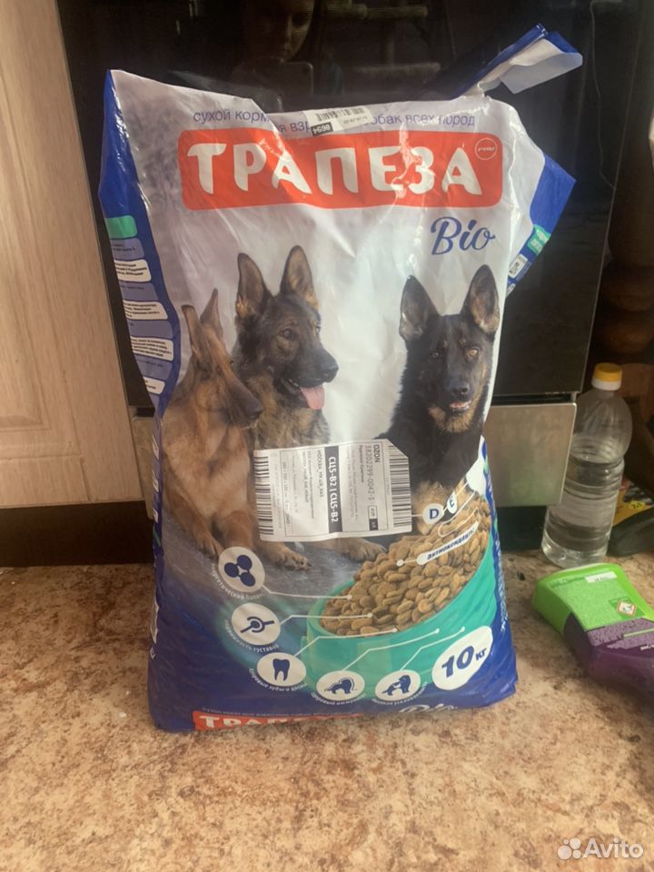 Отдам Корм для собак 10 кг