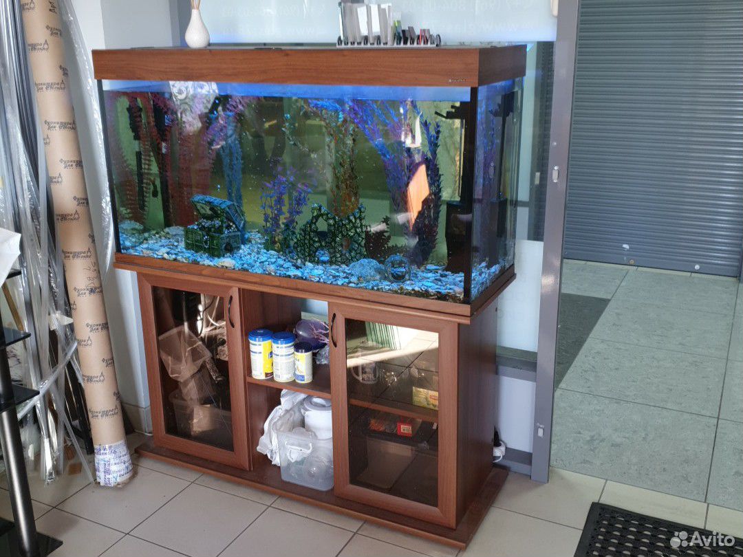 Аквариум