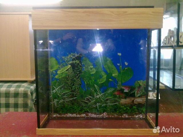 Аквариум