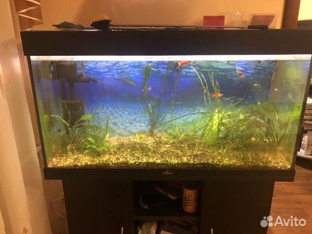 Украшение для аквариума