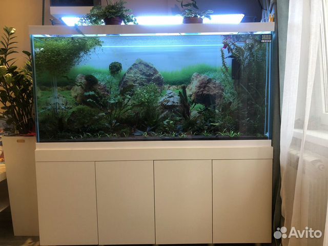 Аквариум со всем содержимым
