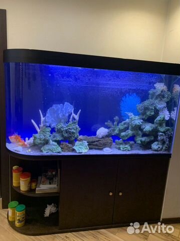 Аквариум б/у 750л с тумбой и оборудованием