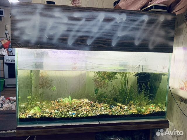 Аквариум 220литров