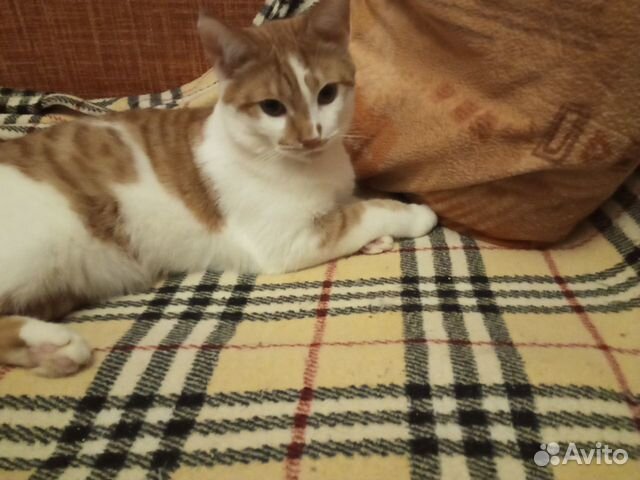 Мальчик кастрирован ласковый Вася подросток