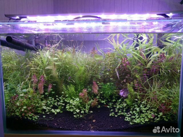Аквариумный комплекс