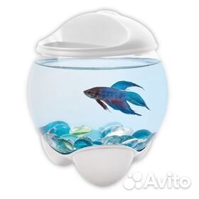 Аквариум Tetra Betta Bubble