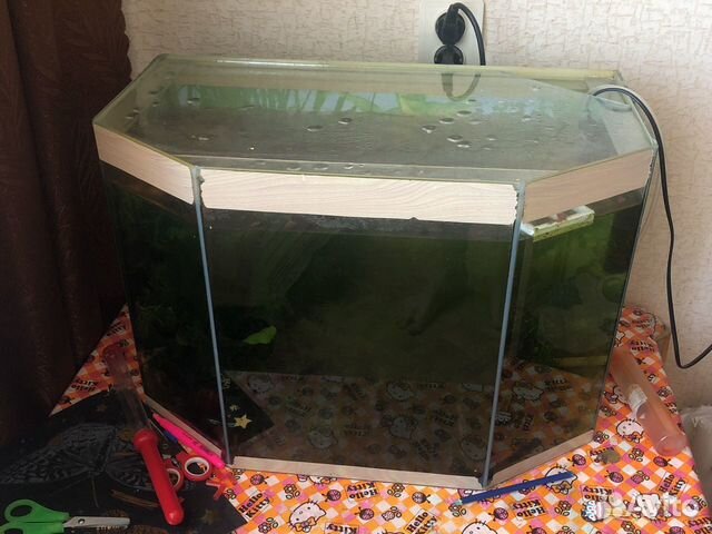 Аквариум