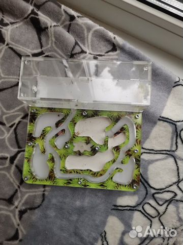 Формикарий муравьиная ферма