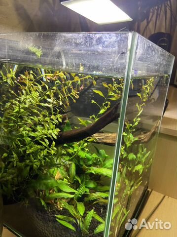 Аквариум aquael 30l