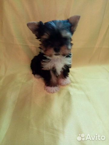 Яркий мальчик