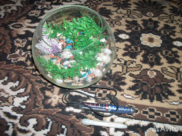 Аквариум