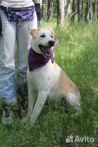 Озорной малыш в добрые руки