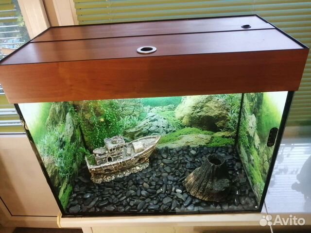 Аквариум 80 +крышка+оборудование