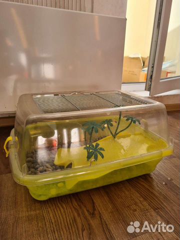 Террариум для рептилий