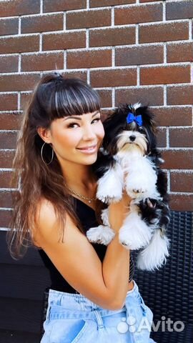 Фантастически красивый мальчик бивер