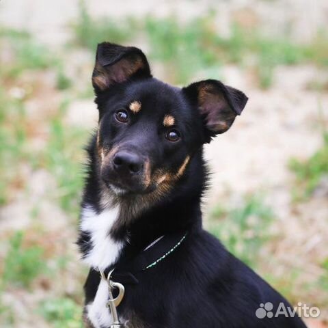 Ищем дом Че Гевара