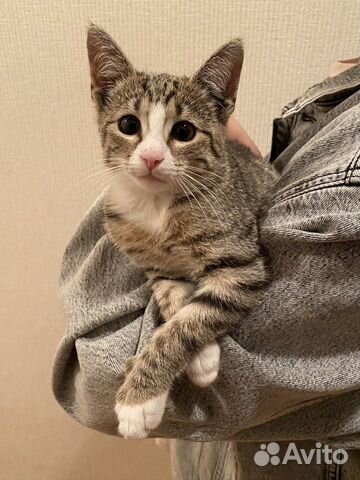 Малышка Джесси ждет семью