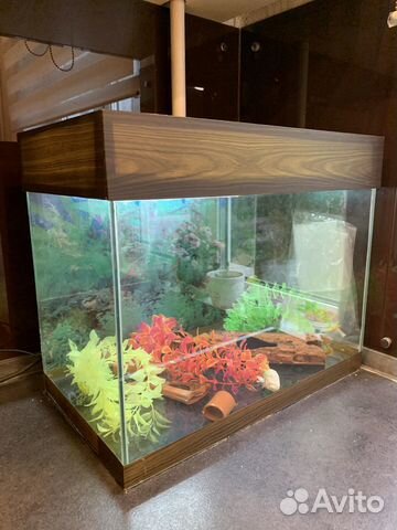 Аквариум для рыбок 50л
