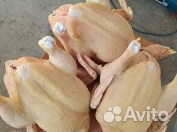 Щипка птицы