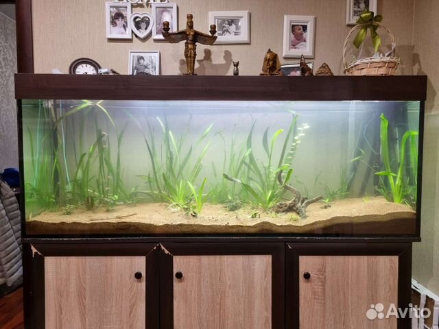 Аквариум с тумбой 400 литров
