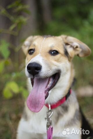 Марсель ищет дом