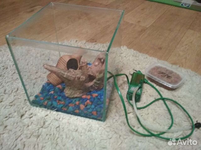 Аквариум