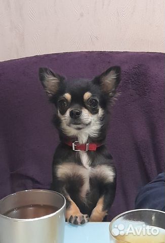 Прекрасная девочка, ищет мальчика