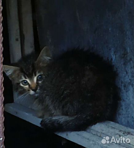 Крошка малыш замёрзнет