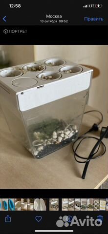 Аквариум. Акваферма