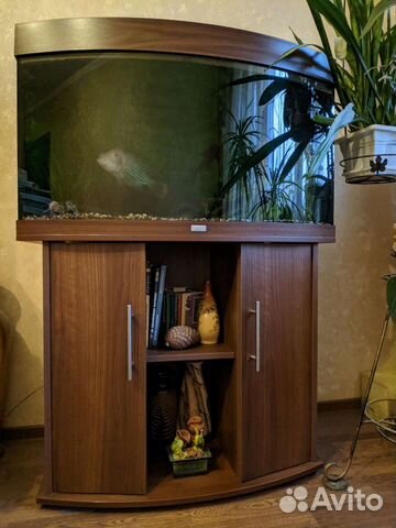 Аквариум juwel vision 180 литров с тумбой