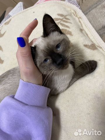 Тайская