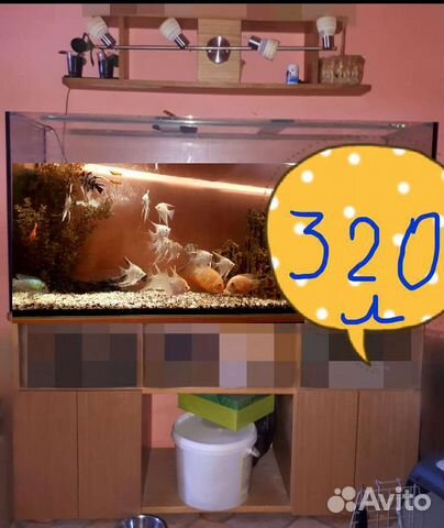 320л. Аквариум+тумба+полка+светильник