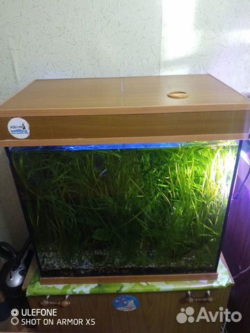 Аквариум