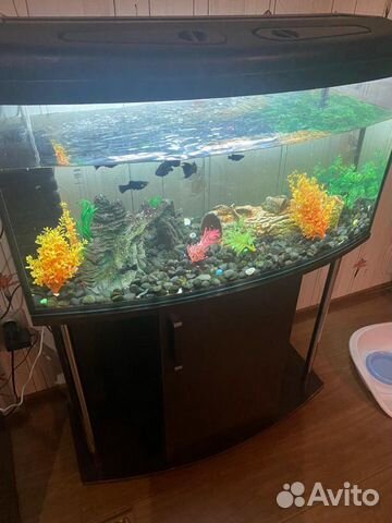 Аквариум со столом