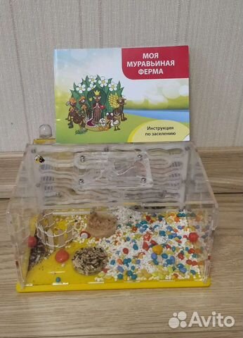 Спасите муравьев, муравьиная ферма