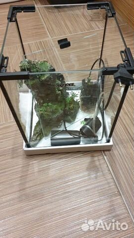 Аквариум кубик Aquael