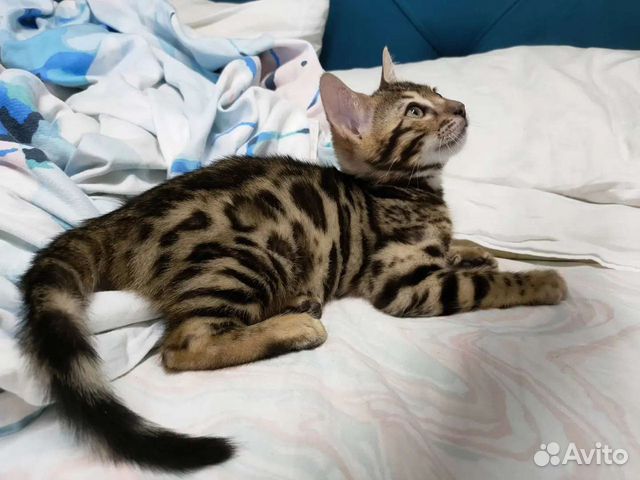 Сладкая девочка