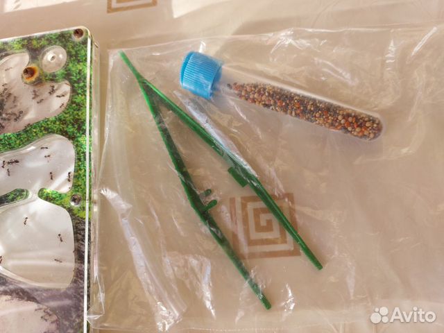 Продаю муравьиную ферму