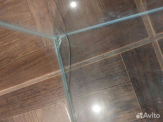 Аквариум бесплатно