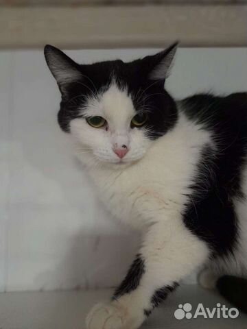 Нежному созданию страшно каждый день