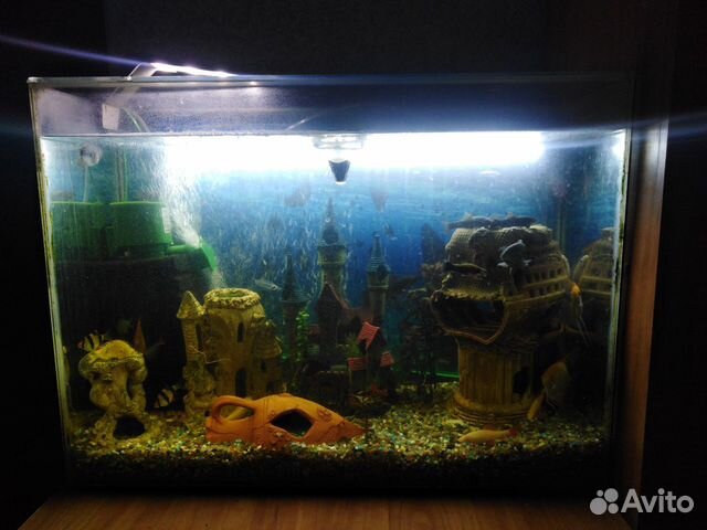 Аквариум